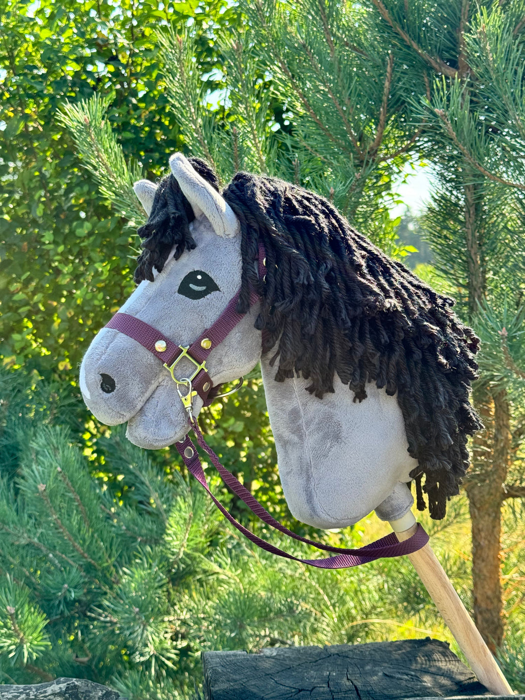 A4 Hobby Horse – KHT AURORA