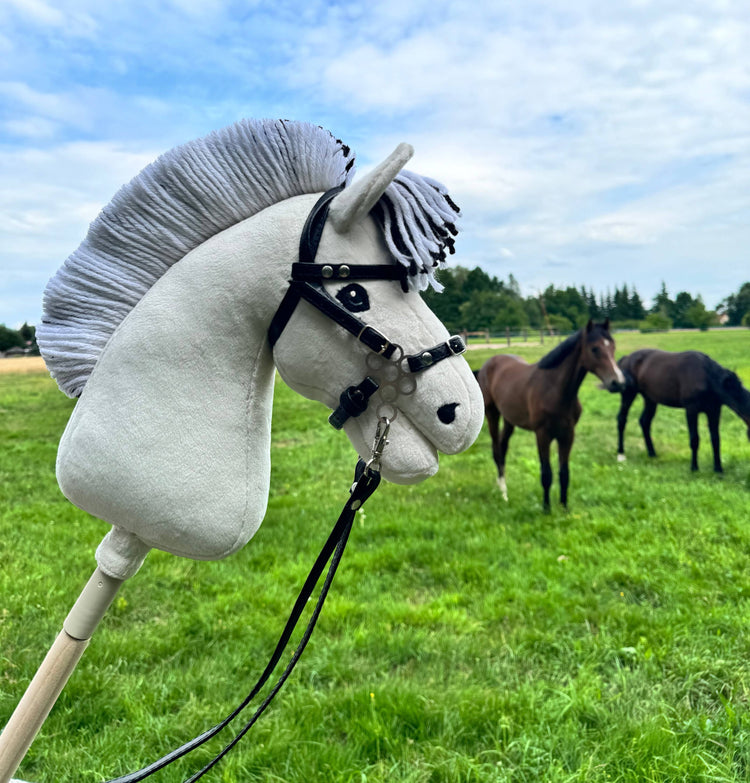 Billig Hobby Horses